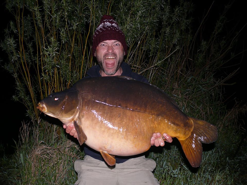 Pictures of David Royle