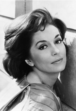 Fintan Meyler's Biography - Wall Of Celebrities