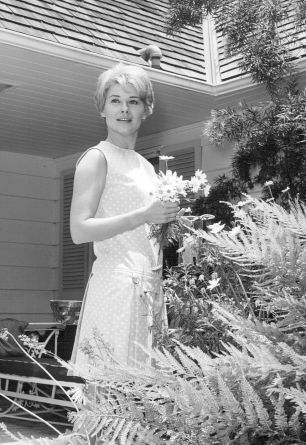 Hope Lange's Biography - Wall Of Celebrities