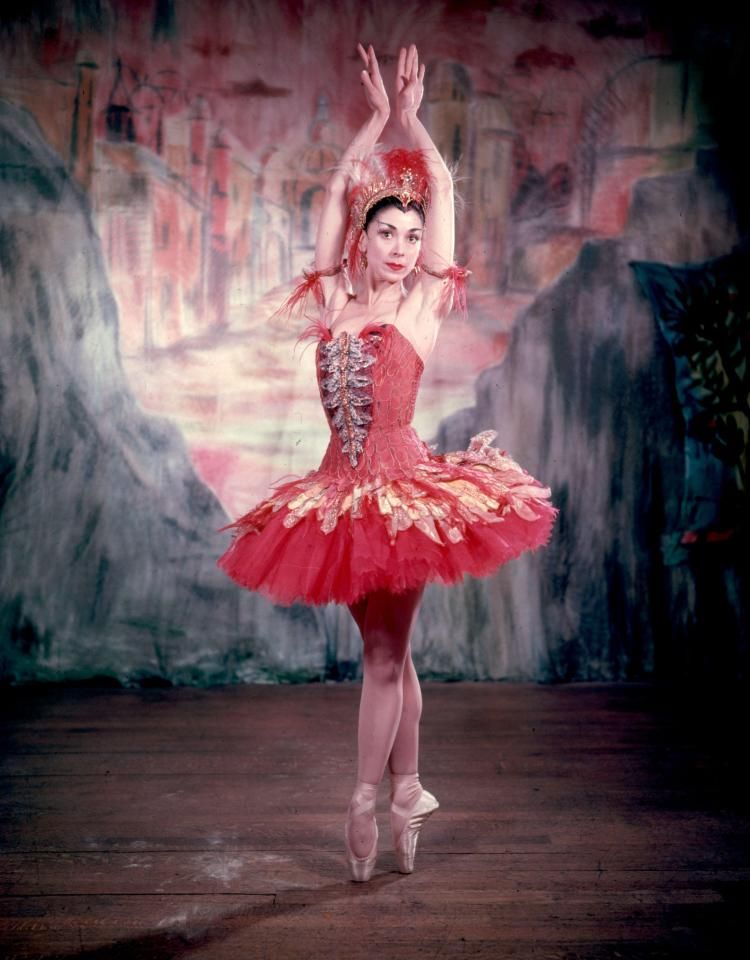 Pictures Of Margot Fonteyn