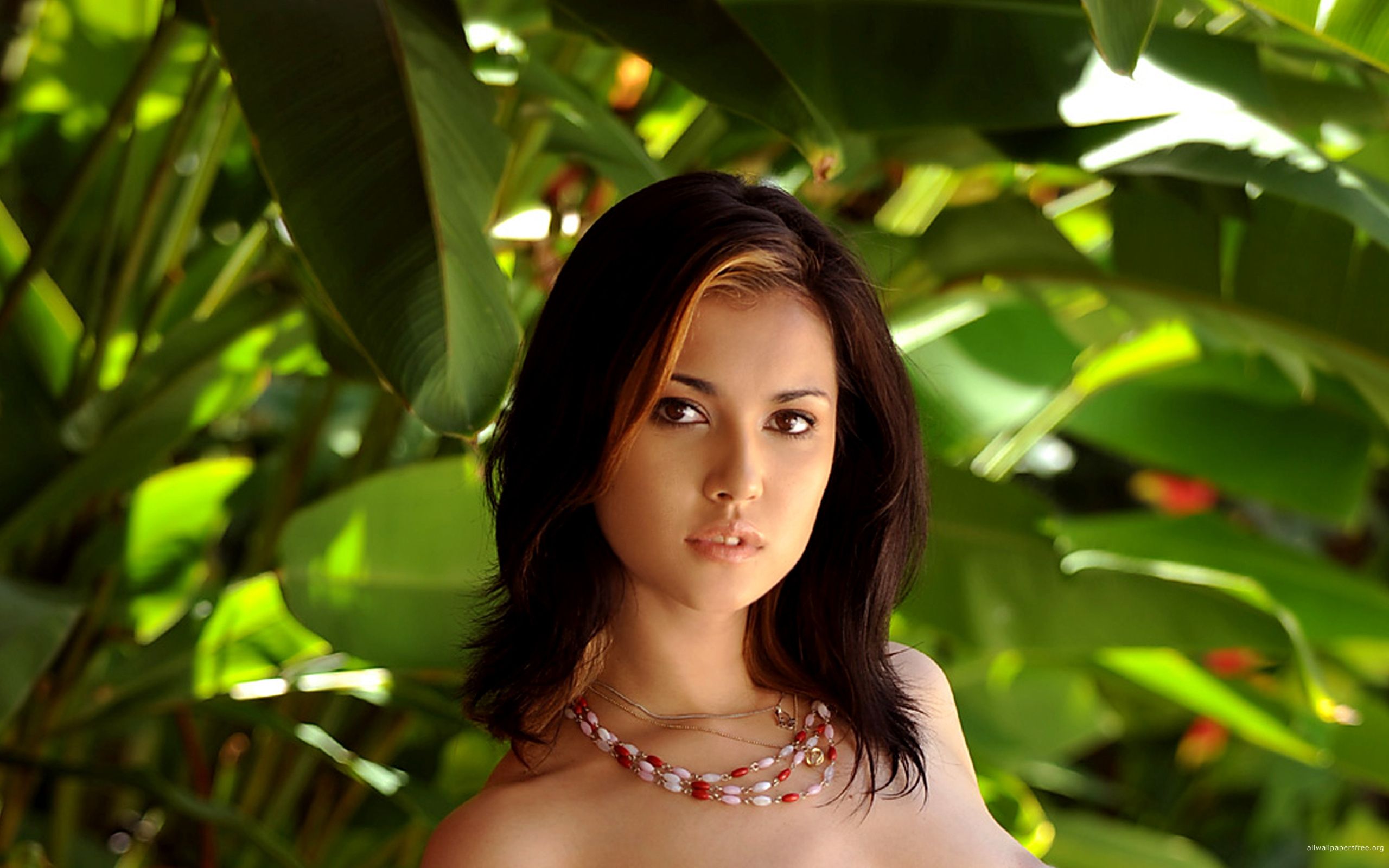 Pictures Of Maria Ozawa